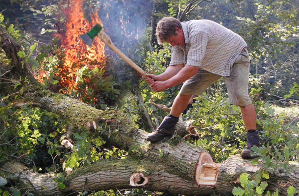 Axe & handtools training including tree felling - wholewoods